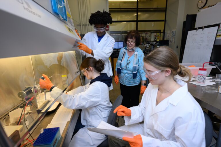 Materials Science and Engineering | MIT School of Engineering