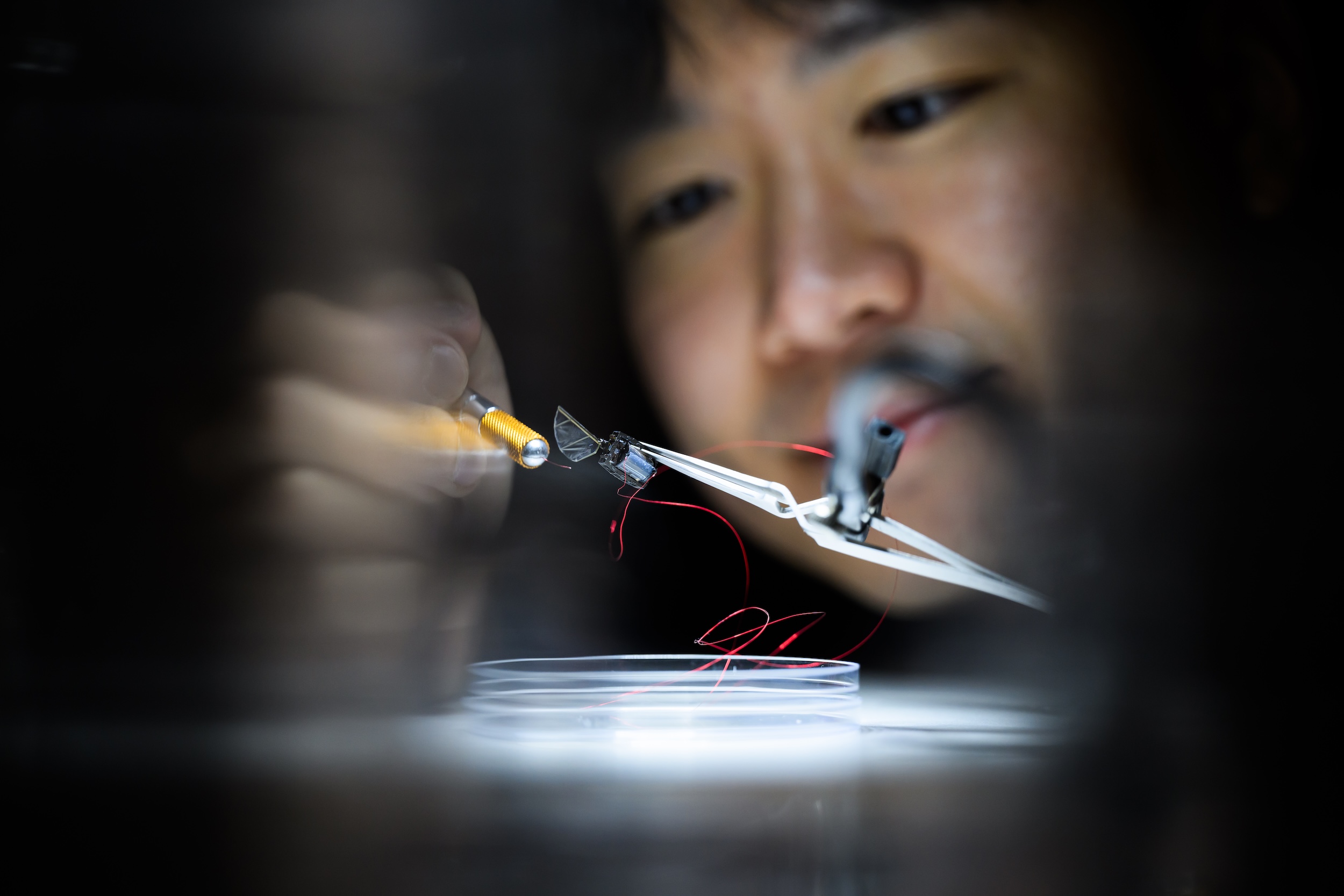 Electrical Engineering and Computer Science | MIT School of Engineering