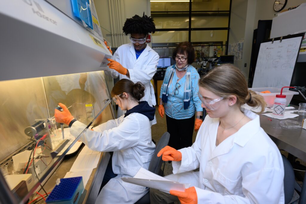 Materials Science and Engineering | MIT School of Engineering